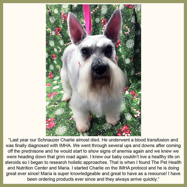 Dog Natural IMHA Supplements Protocol – The Pet Health and Nutrition Center